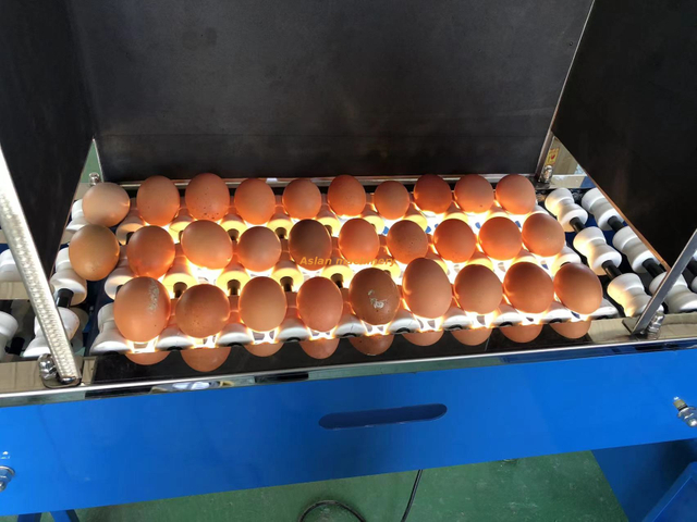 China chicken egg grading machine manufacturers, chicken egg grading ...