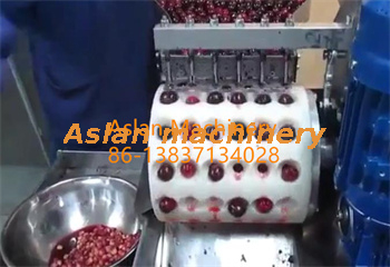 cherry core pitting machine - Buy cherry core pitting machine ...